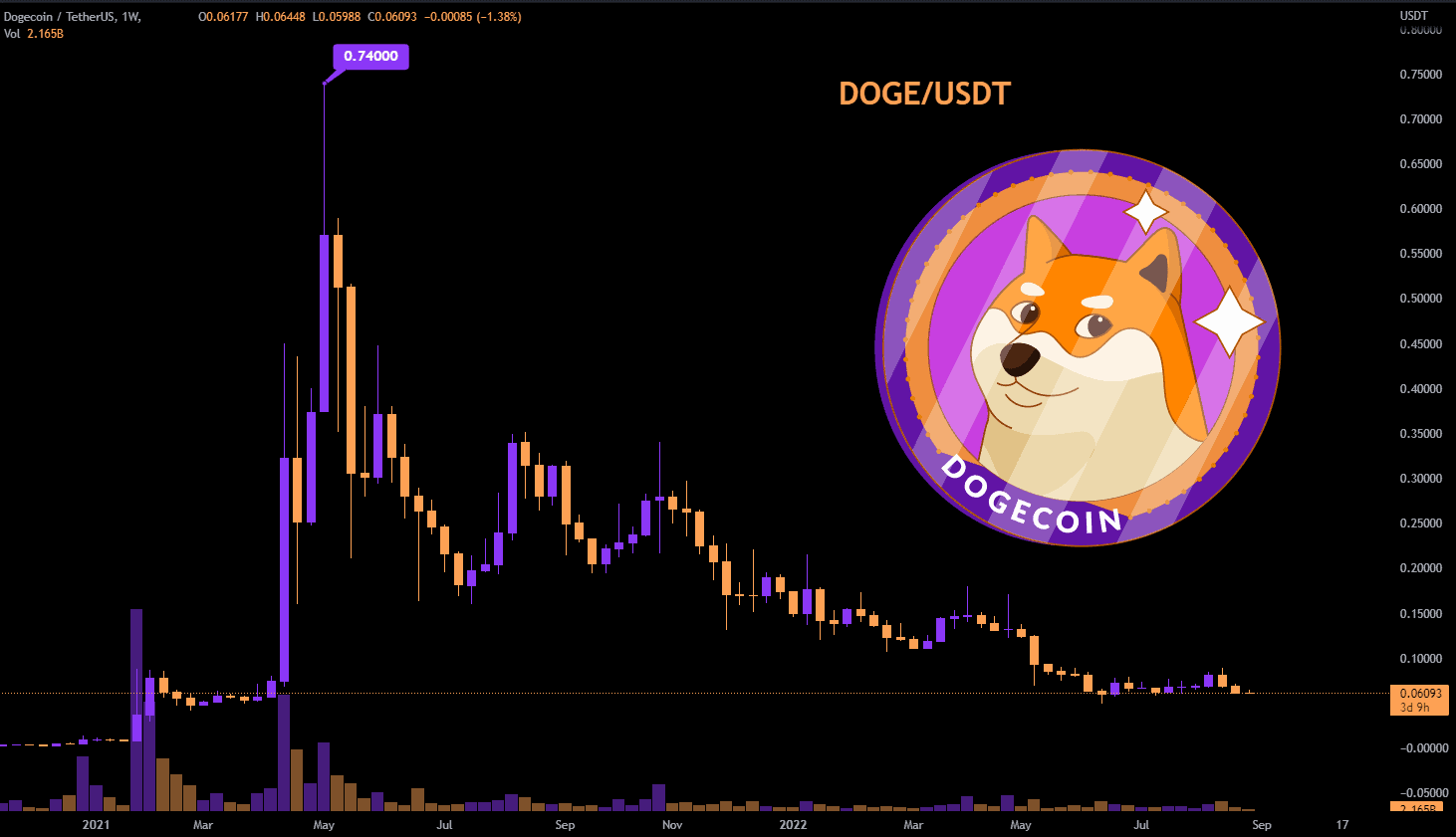 What is Dogecoin? 7 important key points | IXFI Blog